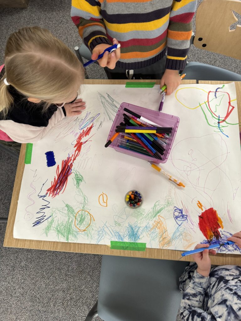 Pedagogical Documentation – ECE Year One Practicum